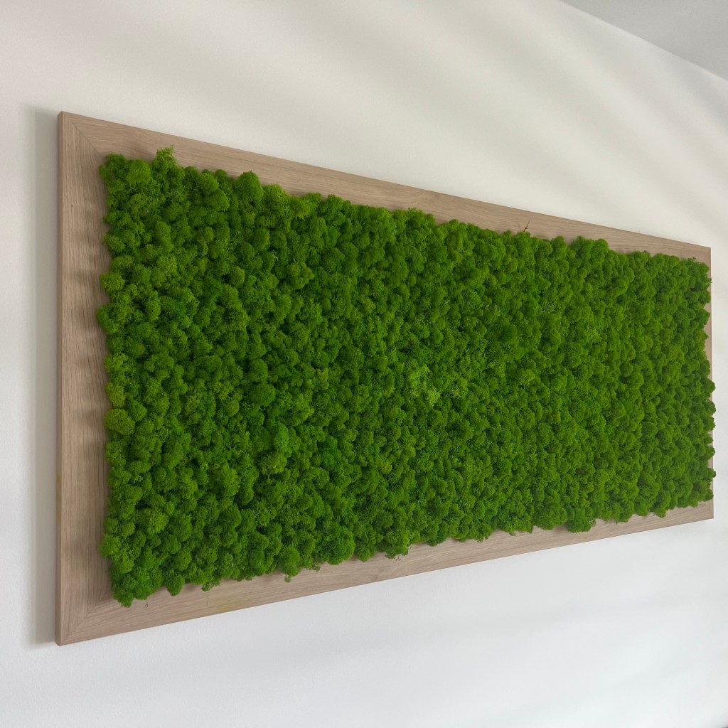 Moos-Dekor – Namaste Lichens Moos Dekor 2024