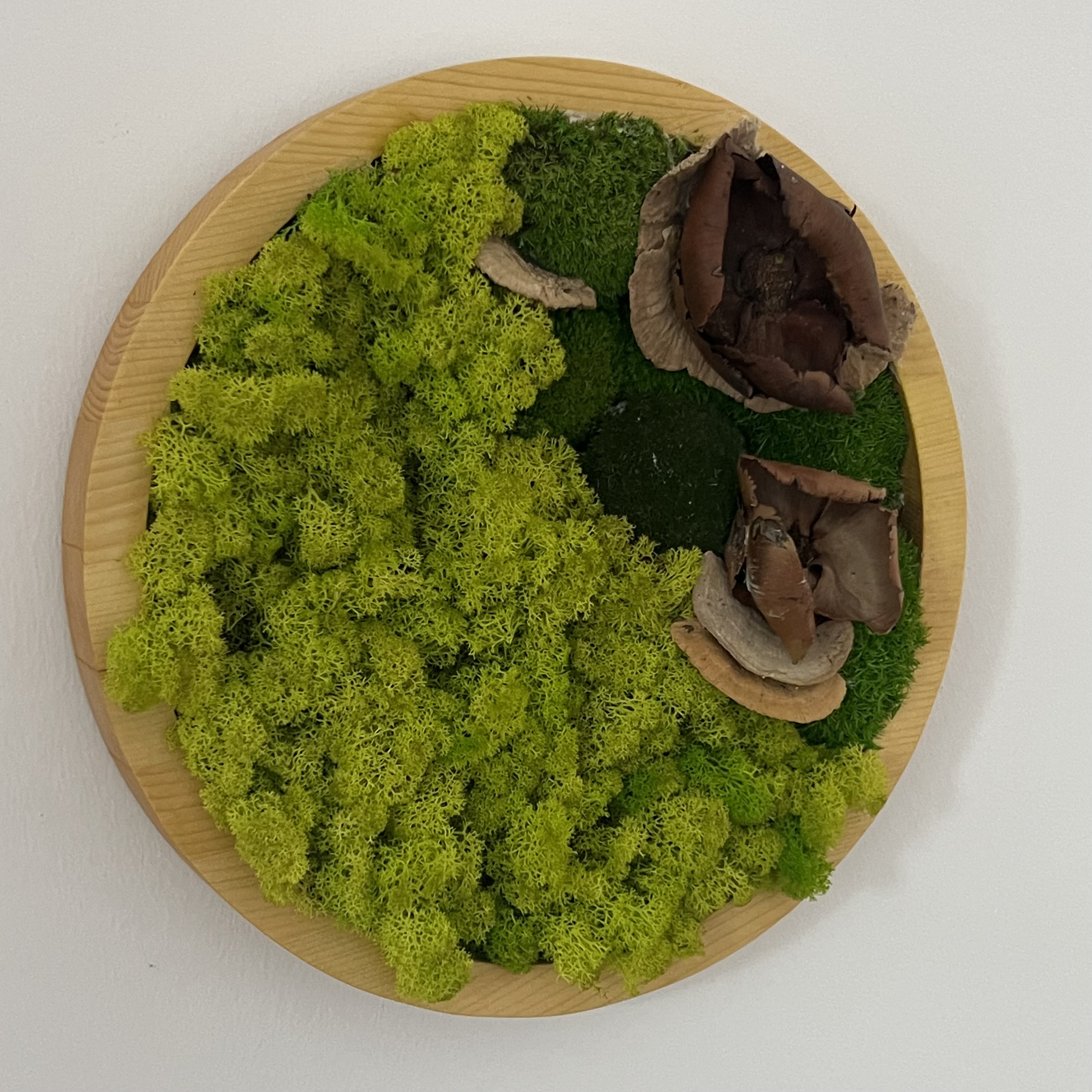 Moosbild-Rund-Moosmix-mit Pilz_01 – Moos-Dekor